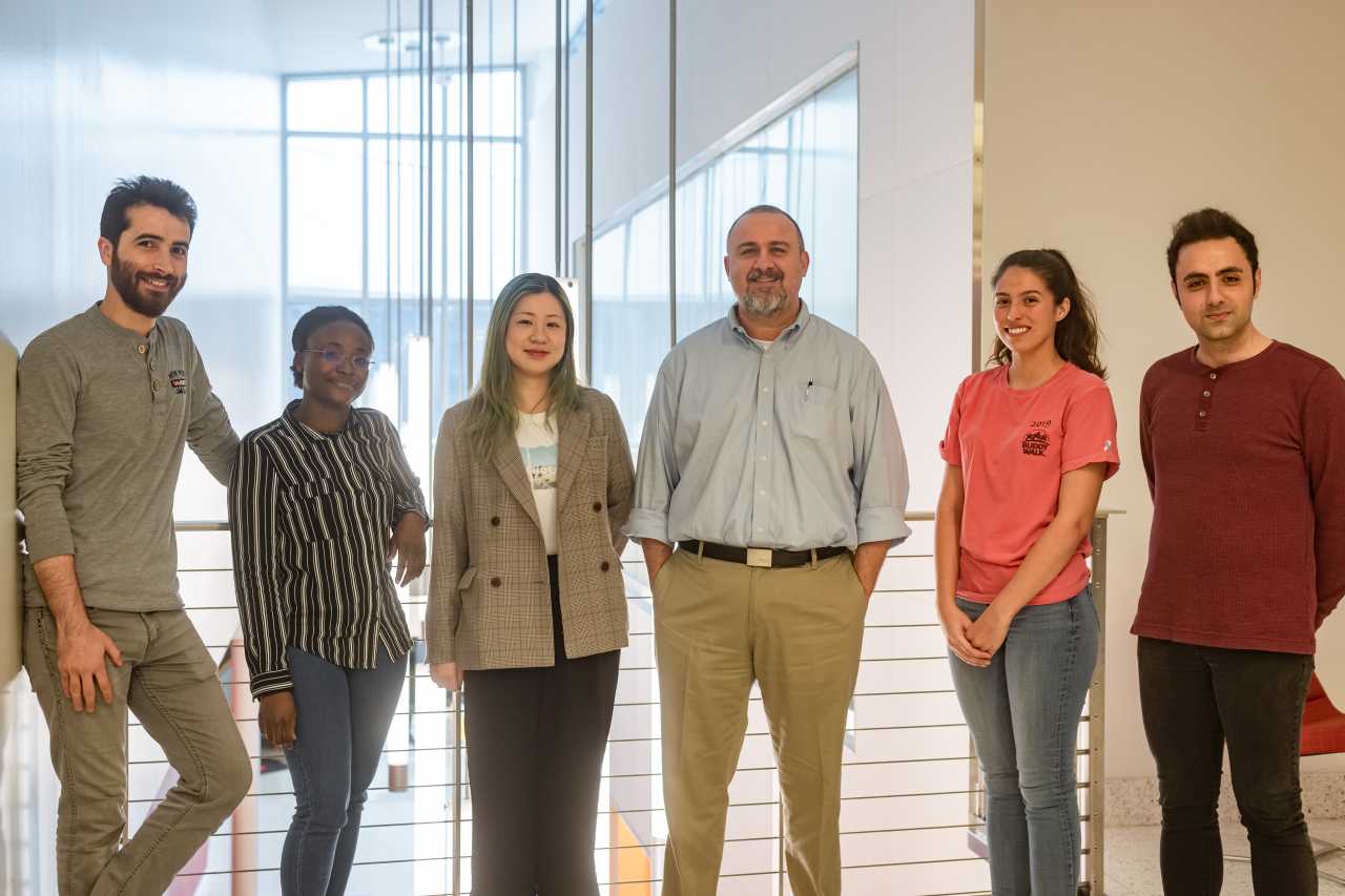 Ince Lab | Clinical Neural Engineering Lab